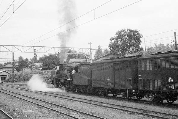 中央東線 小淵沢駅撮り キハ111系 長野色115系 C56 通風車ツム1000形