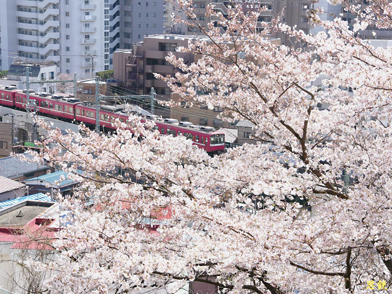 KEIKYU class 800 EMU is seen an overhead wire in Yokohama-city where ...
