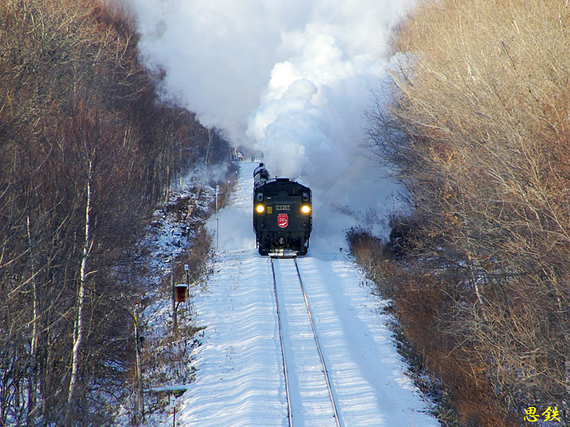 Jpanese Railway Photo.JNR class C11 steam locomotive headed Museum ...